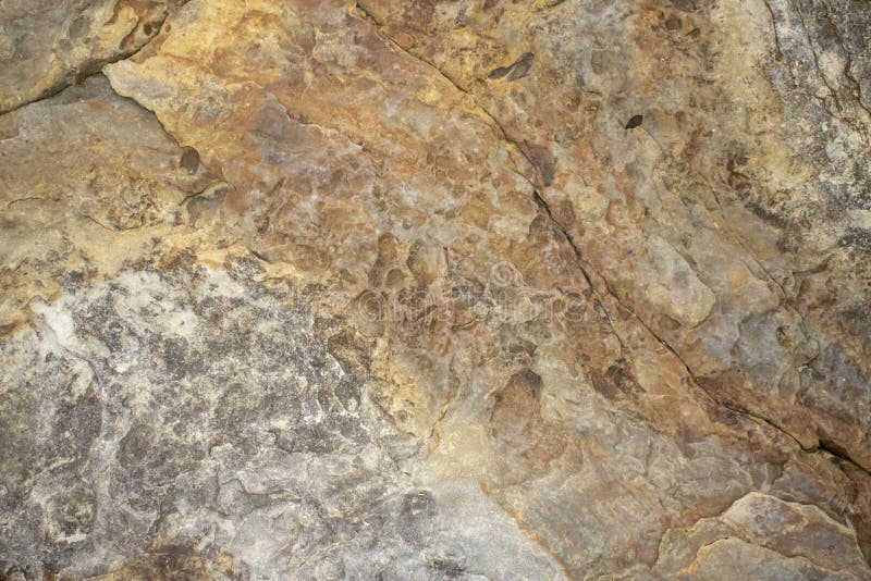 Close-up of the Surface of Marine Rocks at Low Tide Stock Photo - Image ...