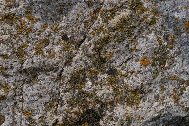 Close-up Surface of Natural Stone. Stone Surface Texture. Stock Image ...