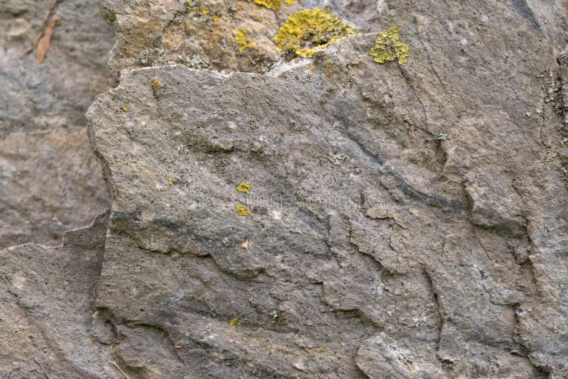Close-up Surface of Natural Stone. Stone Surface Texture Stock Photo ...