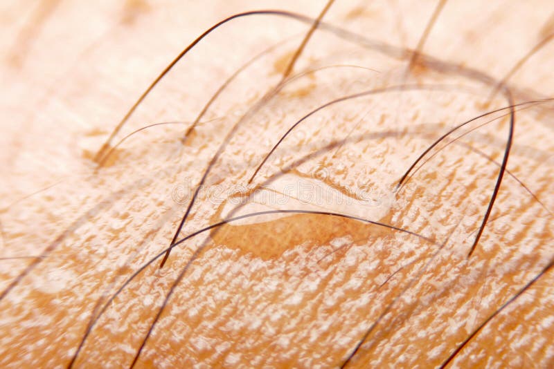 Close-up Sweat on the Skin after Exercise Stock Image - Image of health ...