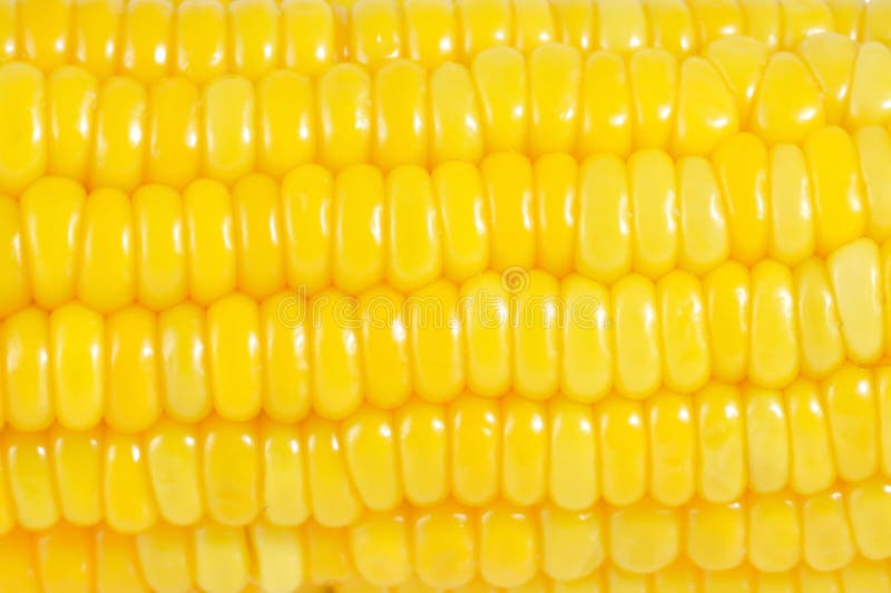 Close Up Sweet Corn, Natural Texture and Pattern Stock Image - Image of ...