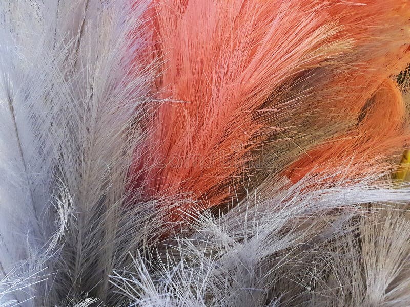 Synthetic Fluffy Feather Background Stock Photo - Image of centerpiece ...
