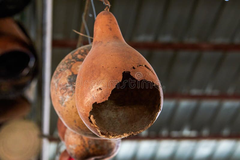 Close-up of a Tattered and Damaged Rotten Gourd Stock Image - Image of ...