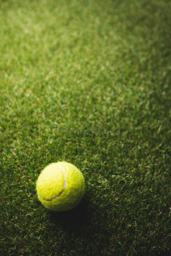 Close up of tennis ball stock image. Image of active - 77880109