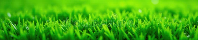 Close Up Texture of Artificial Turf, Vibrant Green, Design, Fabric ...