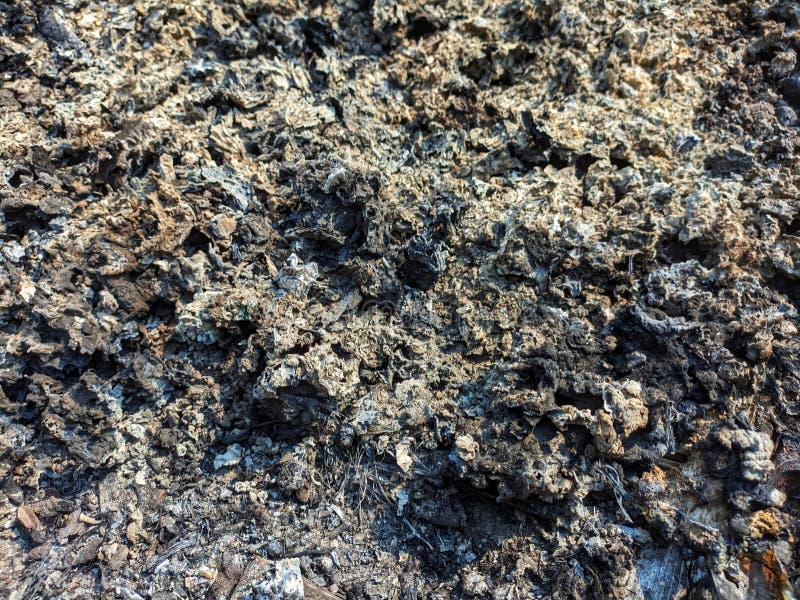 Close-up Texture of Ash from Burnt Waste. Stock Image - Image of debris ...