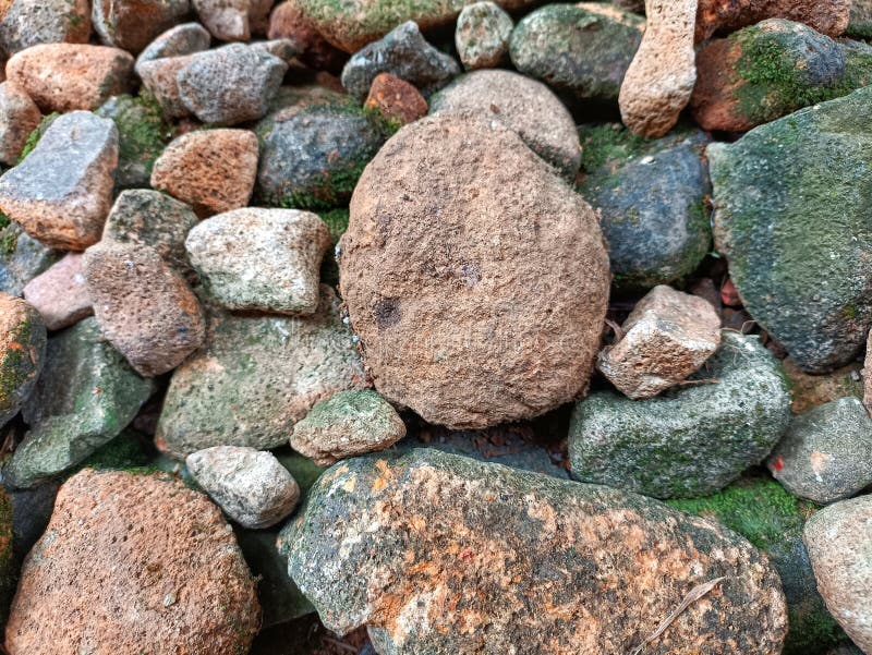 A Collection of Rocks of Different Colors and Sizes Stock Photo - Image ...