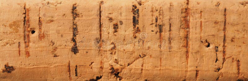 Close Up of the Texture of Cork Using As Background or Header Stock ...