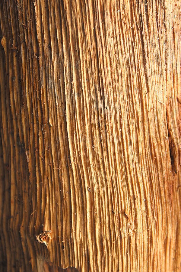 Texture Firewood Background at Home Stock Photo - Image of texture ...