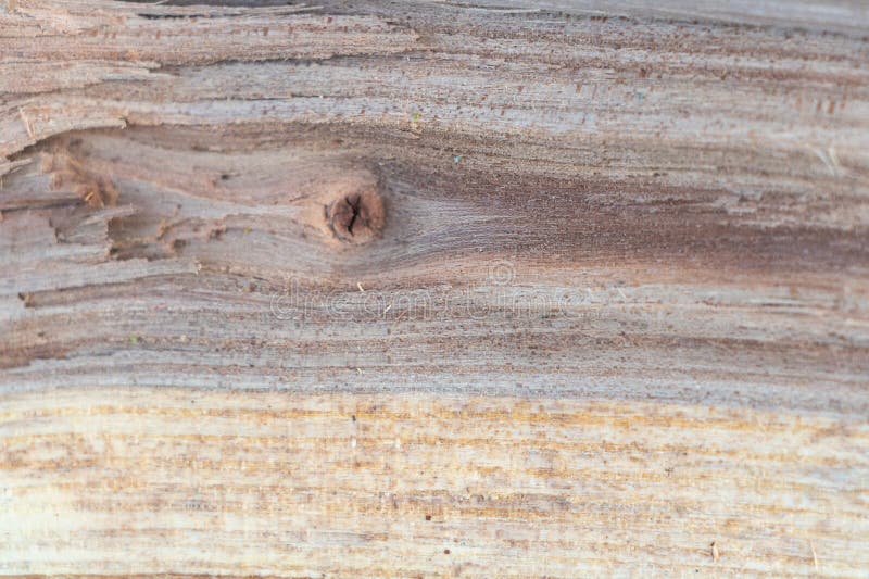 A Close-up of the Texture and Grain Patterns on an Old, Weathered ...