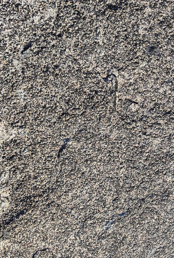 A Close-up Texture of a Gray, Coarse-grained Surface, Which Appears To ...