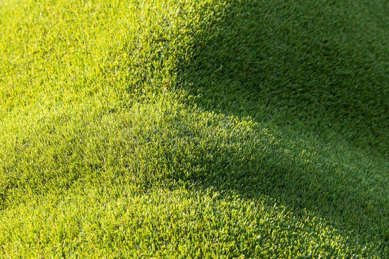 Close up stock photo. Image of meadow, lawn, abstract - 306268840