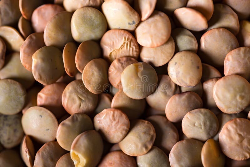 Natural Lentil Grains for Background Stock Image - Image of groats ...