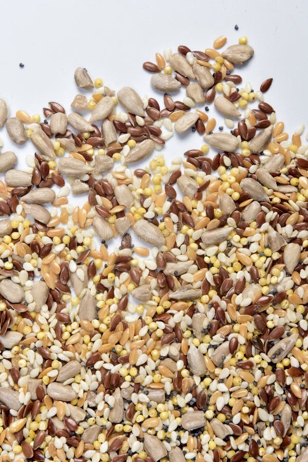 Close-Up of Multigrain Bread Background Image Stock Photo - Image of ...