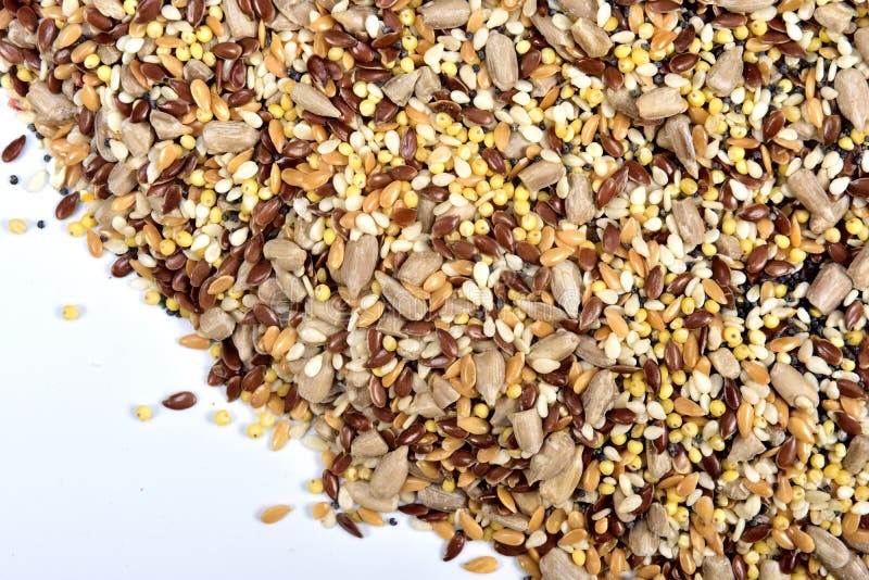 Close-Up of Multigrain Bread Background Image Stock Photo - Image of ...