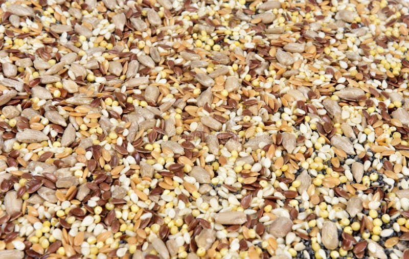 Close-Up of Multigrain Bread Background Image Stock Photo - Image of ...