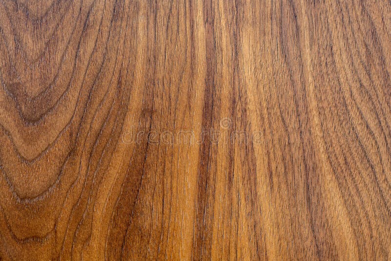 Close-up Texture Oak Wood for Background Stock Image - Image of brown ...