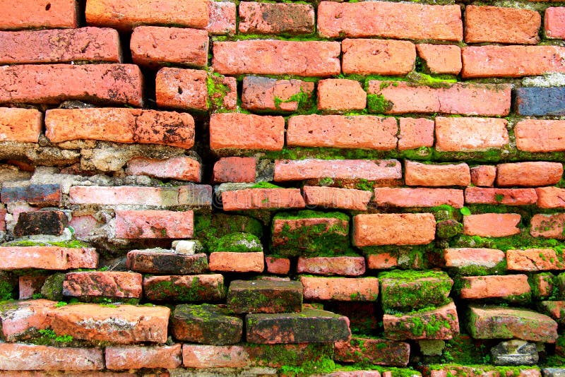 Close Up,texture Old Orange Brick Wall Stock Image - Image of flower ...