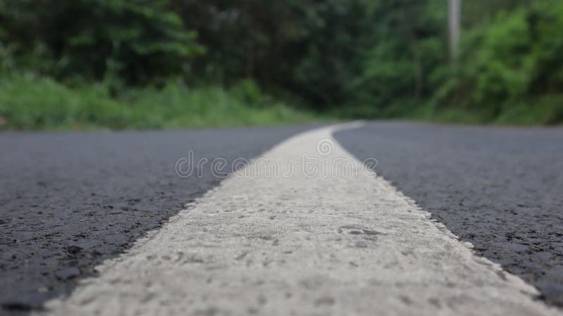 Close Up of the Texture of a Paved Road in the Middle of the Forest ...