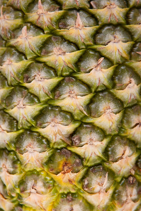 Close Up Texture of Pineapple Fruit Stock Photo - Image of lifestyles ...