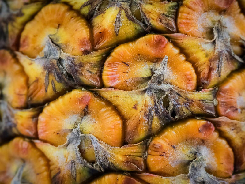 Close Up Texture of Pineapple Skin Stock Photo - Image of fruit ...