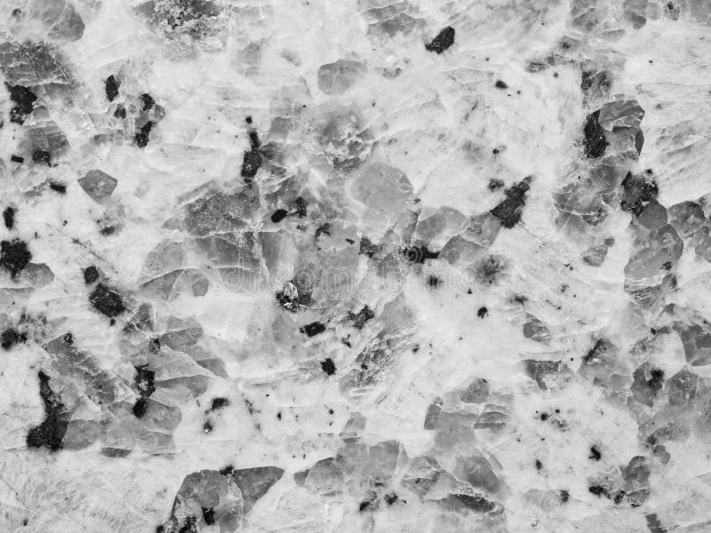 Polished White Granite Texture