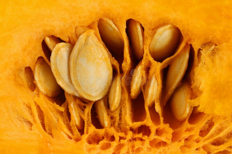 The Texture of Pumpkin Pulp. Stock Photo - Image of orange, sliced ...