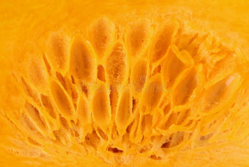 The Texture of Pumpkin Pulp. Stock Photo - Image of orange, sliced ...