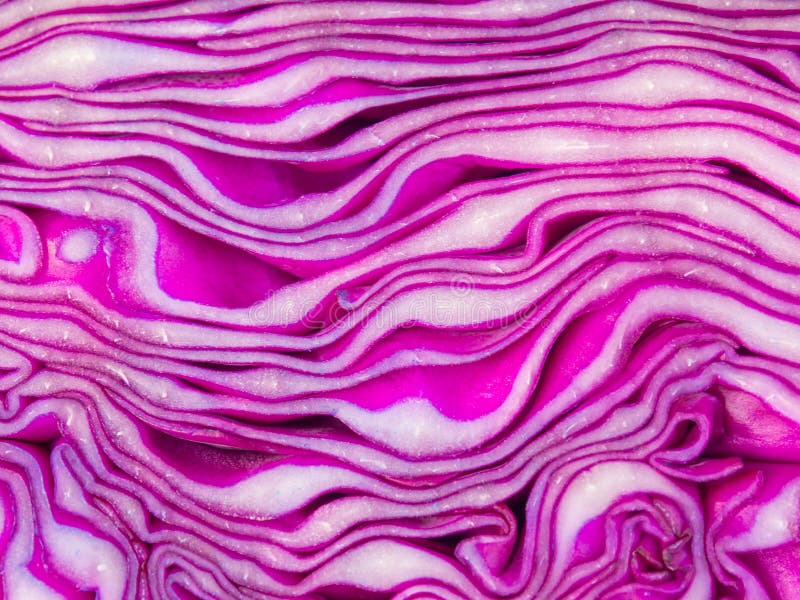 Close Up Texture of Purple Cabbage. Stock Image - Image of leaf ...