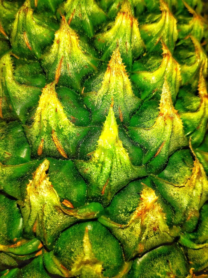 Close Up Texture of Ripe Green Pineapple Skin. Stock Photo - Image of dessert, pattern: 306227264