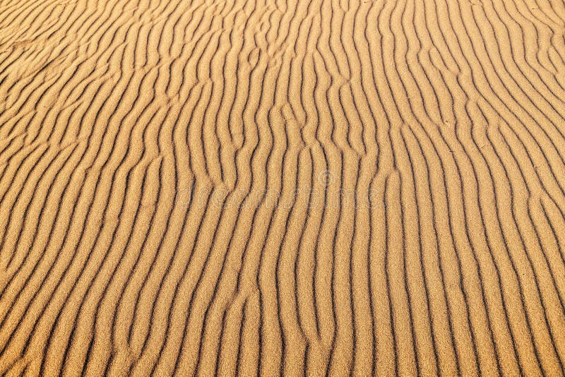 Closeup Texture of the Rippled Surface of the Sand and Dunes, Top View ...