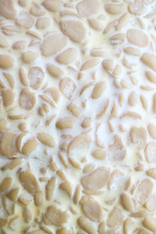 Close-up Texture of Tempe, a Fermented Soybeans Source of High Protein ...