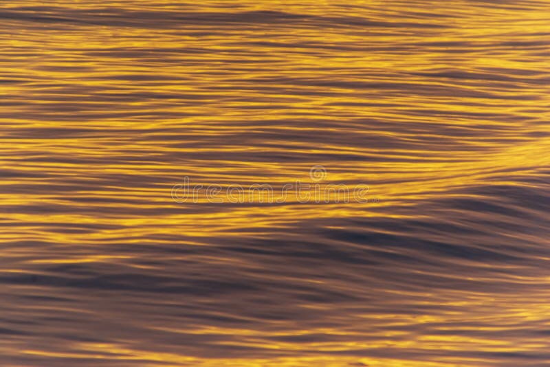 Close-up Texture Water Surface Sensitive Shape Gold Textures Solar ...