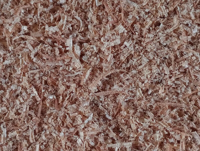 Close Up Texture of Wood Waste from an Electric Planer Machine Stock ...