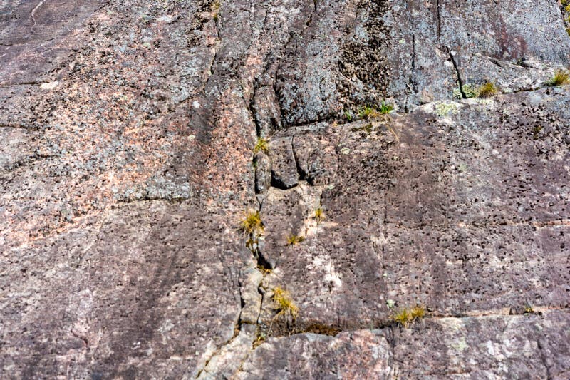 Close-up of a Textured Granite Rock Face with Cracks and Lichen Growth ...