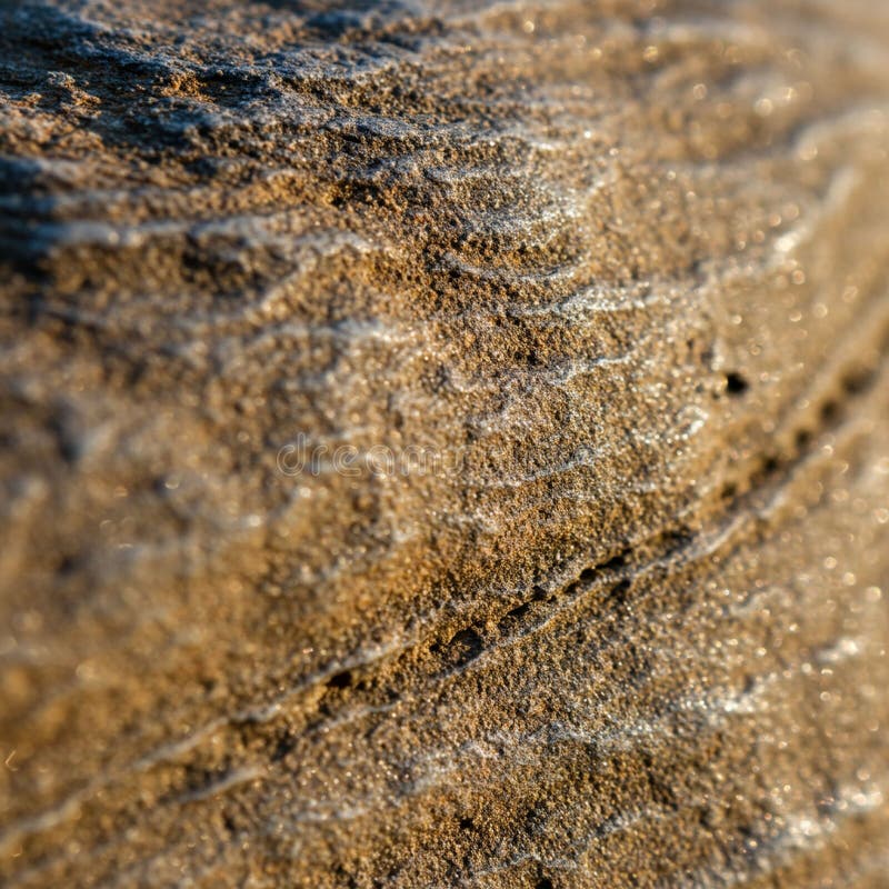 Close-up of Textured Sand with Intricate Patterns Created by Wind or ...