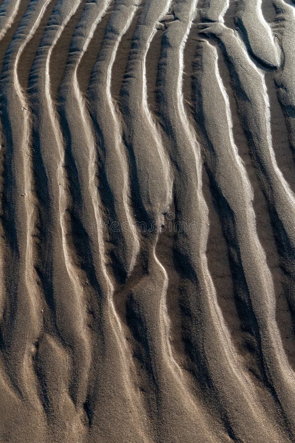 Close-up of Textured Sand with Organic Patterns Illuminated by Soft ...