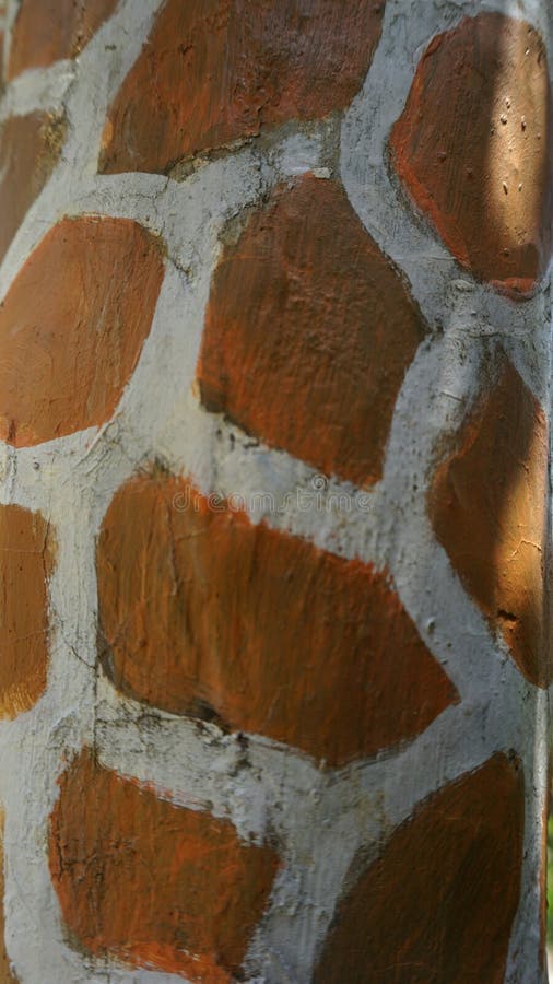 Close-up of Textured Surface with Brown Shapes and White Lines ...