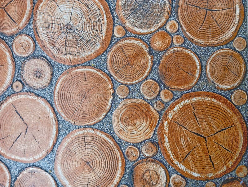 A Close-up of a Textured Surface with Circular Patterns Resembling Tree ...