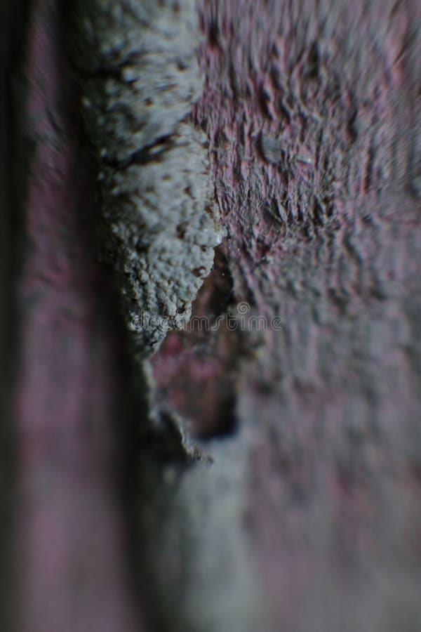 Abstract Texture of Mold on a Surface Stock Image - Image of rock ...