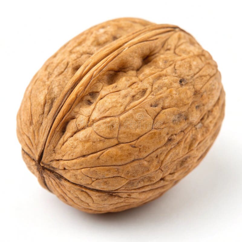 Close-up of Textured Walnut Shell on Transparent Background Stock ...