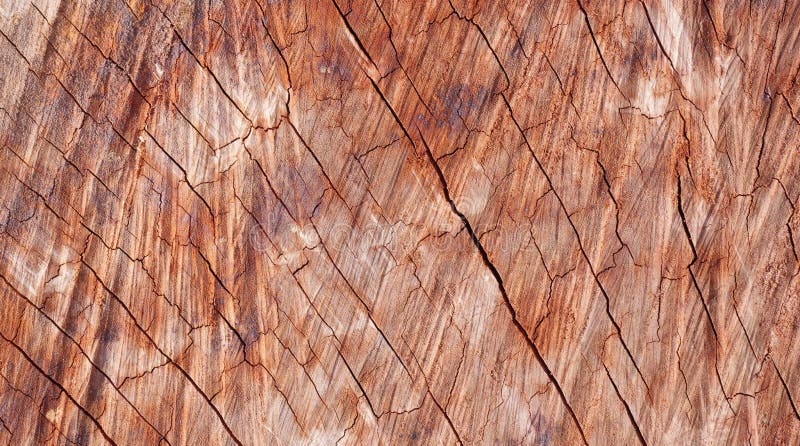 Close up of Textured Wood stock photo. Image of wood - 255906984