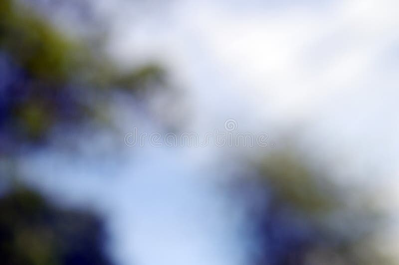 Close Up Textures Blurred Treeline Set Background Stock Photo - Image ...