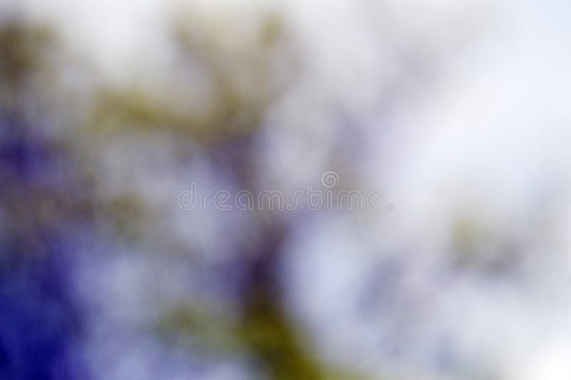 Close Up Textures Blurred Treeline Set Background Stock Image - Image ...