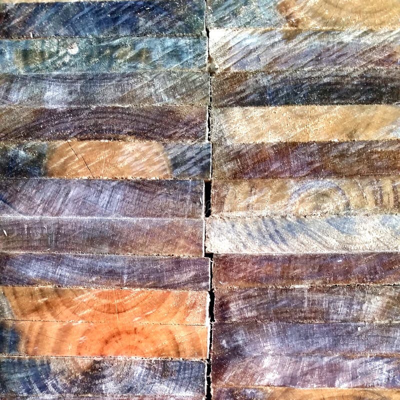 Close Up of Timber Textures on Cut Wood Stock Photo - Image of abstract ...
