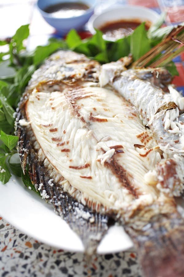 Close Up Thai Fish Grilled with Salt Stock Image - Image of salt, dish ...