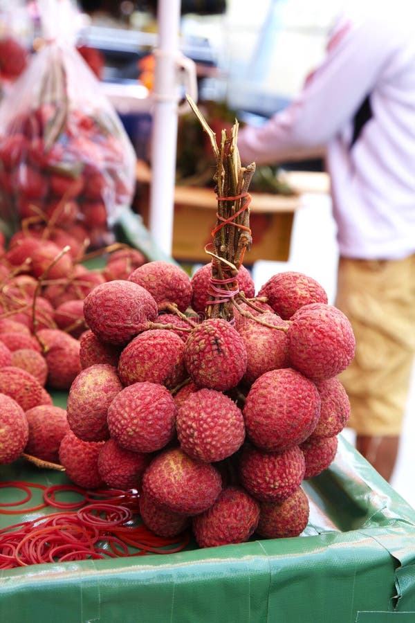 Thai Lychee stock photo. Image of litchi, asian, thailand - 41348506