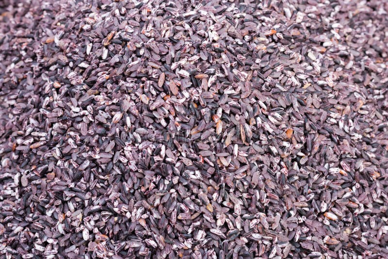 Close Up of Thai Rice Berry Stock Photo - Image of diet, food: 68491704