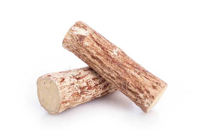 186 Thanaka Tree Photos - Free & Royalty-Free Stock Photos from Dreamstime