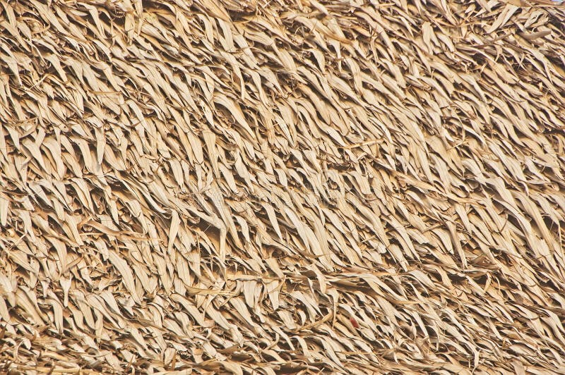 Thatched Straw Roof. Beach Umbrella Close Up View Stock Photo - Image ...